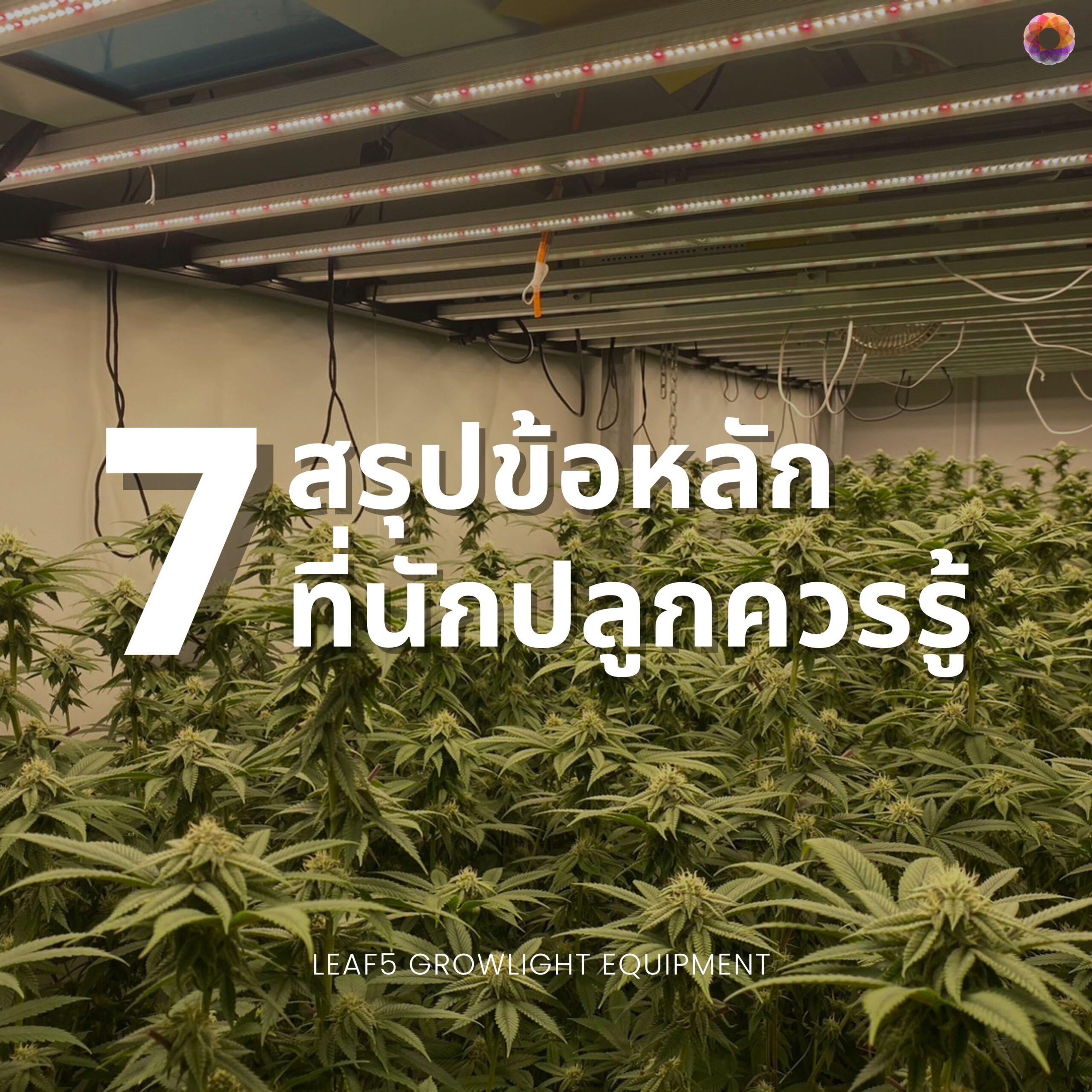 7 สรุปข้อหลัก ที่นักปลูกควรรู้ LEAF5 รวบรวมมาให้อ่านแบบครบครัน